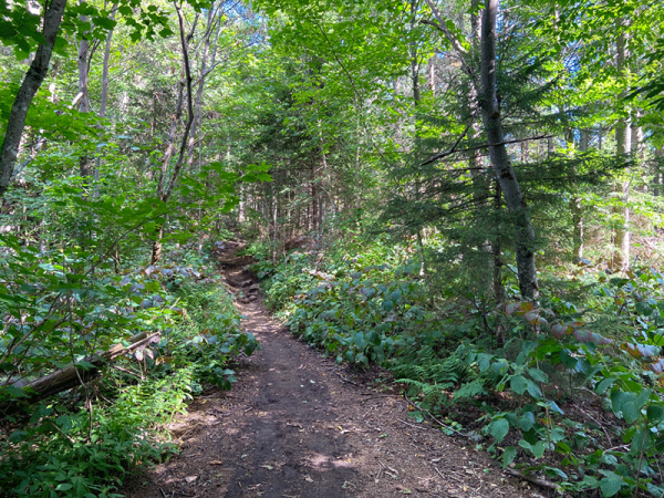 Hike Goodnow Mountain - Protect the Adirondacks!