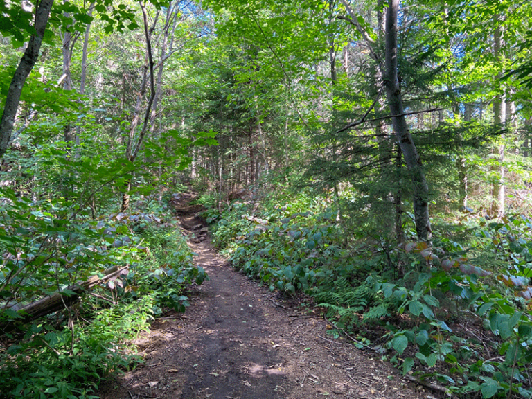 Hike Goodnow Mountain - Protect the Adirondacks!