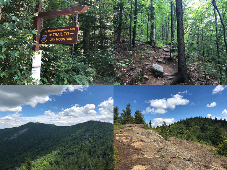 Hike Jay Mountain - Protect the Adirondacks!