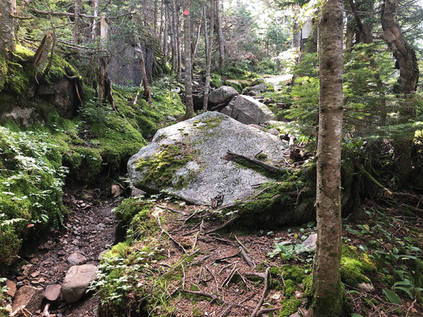 Hike Lyon Mountain - Protect the Adirondacks!