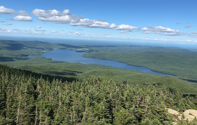 Hike Lyon Mountain - Protect the Adirondacks!