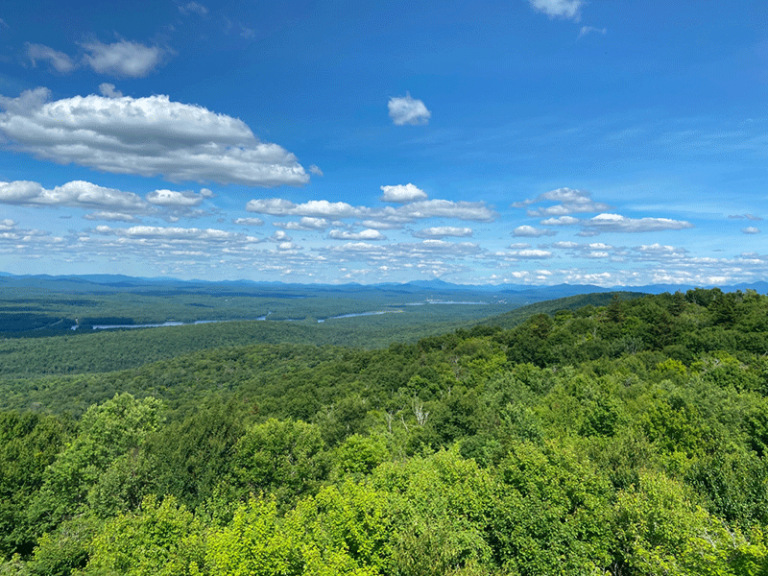 Hike Mount Arab - Protect the Adirondacks!