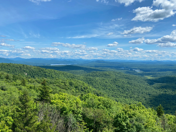 Hike Mount Arab - Protect the Adirondacks!