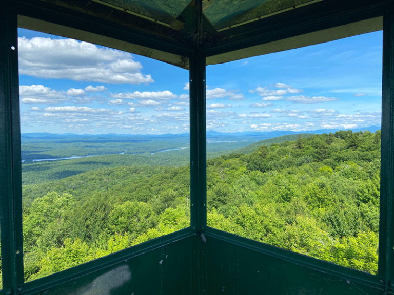 Hike Mount Arab - Protect the Adirondacks!