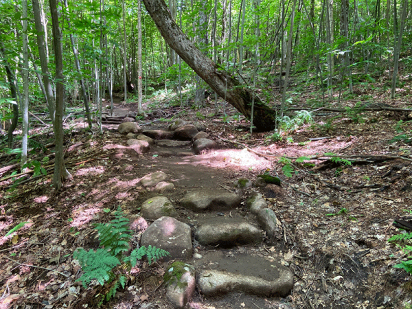 Hike Mount Arab - Protect the Adirondacks!