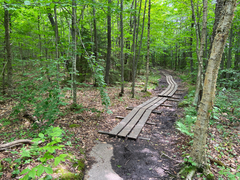Hike Mount Arab - Protect the Adirondacks!