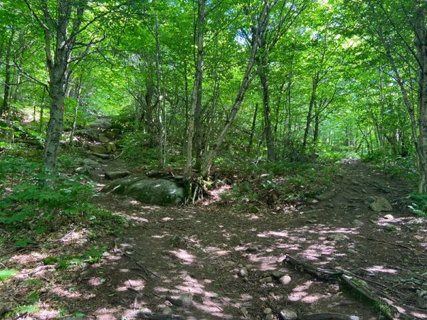Hike Mount Arab - Protect the Adirondacks!