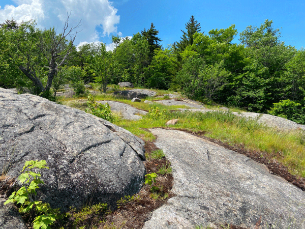 Hike Mud Pond Mountain in Cedarlands - Protect the Adirondacks!