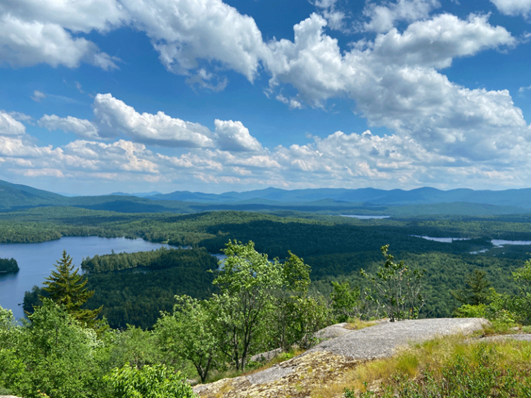 Hike Mud Pond Mountain in Cedarlands - Protect the Adirondacks!