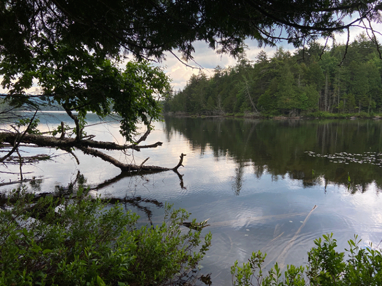 Hike Mud Pond Mountain in Cedarlands - Protect the Adirondacks!
