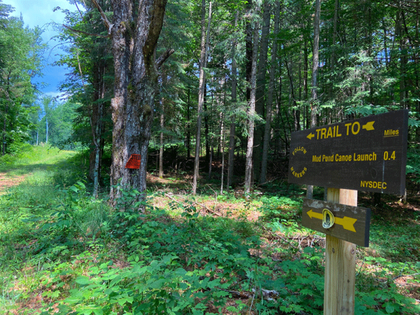 Hike Mud Pond Mountain in Cedarlands - Protect the Adirondacks!