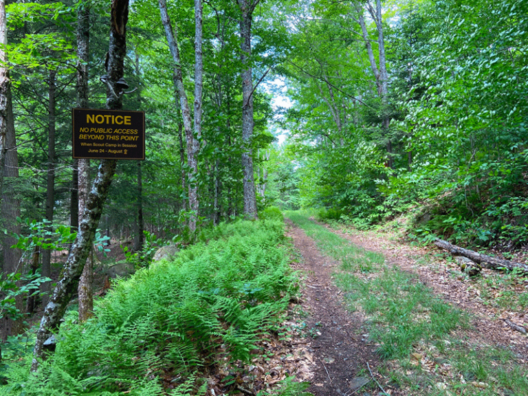 Hike Mud Pond Mountain in Cedarlands - Protect the Adirondacks!