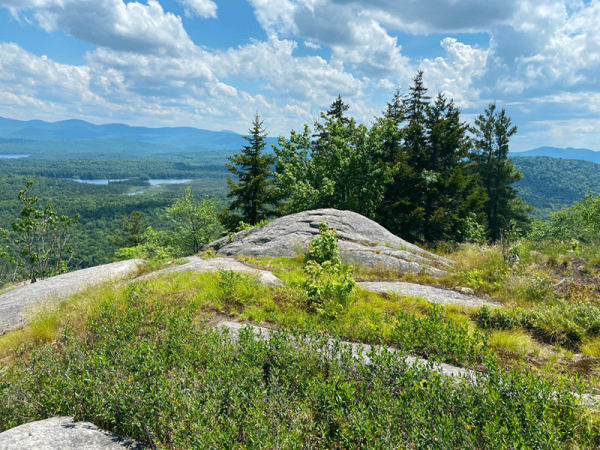 Hike Mud Pond Mountain in Cedarlands - Protect the Adirondacks!