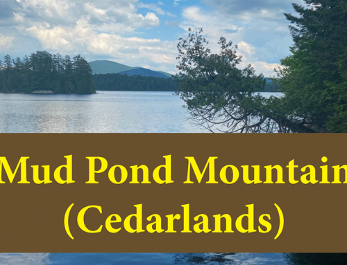 Hike Floodwood Mountain - Protect the Adirondacks!
