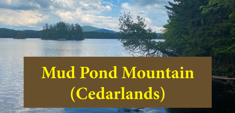 Hike Mud Pond Mountain in Cedarlands - Protect the Adirondacks!