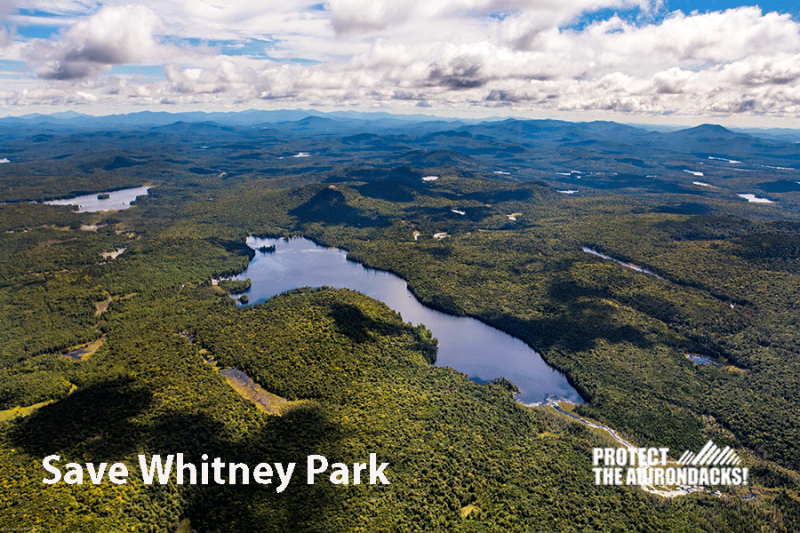 The Case for Why Whitney Park Should be Forest Preserve - Protect the ...