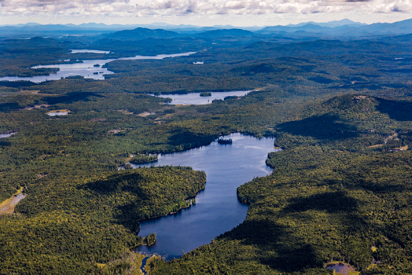 The future of the 36,000-acre Whitney Park - Protect the Adirondacks!