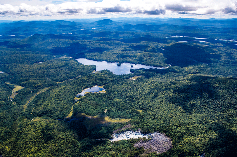 The future of the 36,000-acre Whitney Park - Protect the Adirondacks!