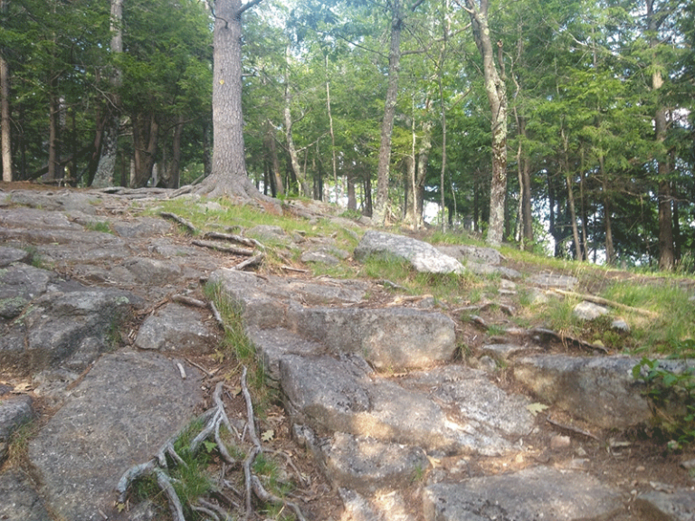 Hike Severance Mountain - Protect the Adirondacks!