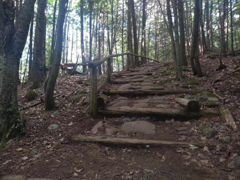 Hike Severance Mountain - Protect the Adirondacks!