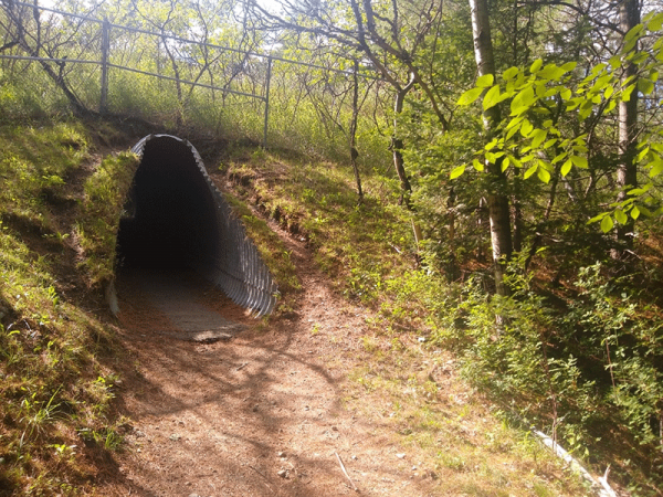 Hike Severance Mountain - Protect the Adirondacks!