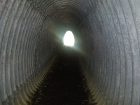 Hike Severance Mountain - Protect the Adirondacks!