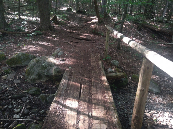 Hike Severance Mountain - Protect the Adirondacks!