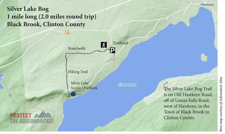 Hike Silver Lake Bog - Protect the Adirondacks!