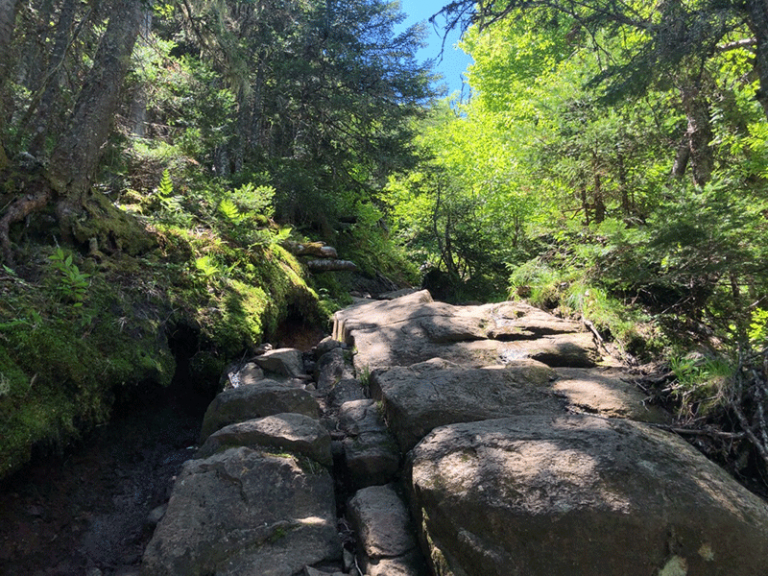 Hike Snowy Mountain - Protect the Adirondacks!