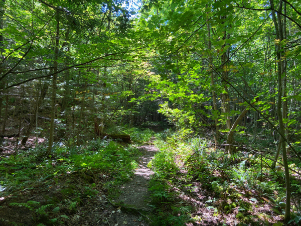Hike Split Rock Mountain (North Trails) - Protect the Adirondacks!