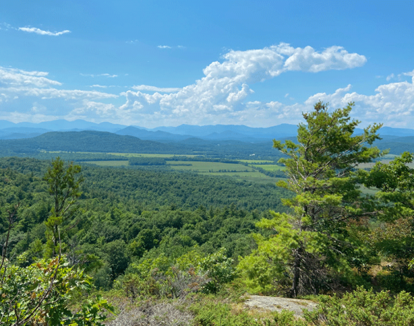 Hike Split Rock Mountain (North Trails) - Protect the Adirondacks!