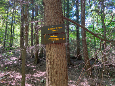 Hike Split Rock Mountain (North Trails) - Protect the Adirondacks!
