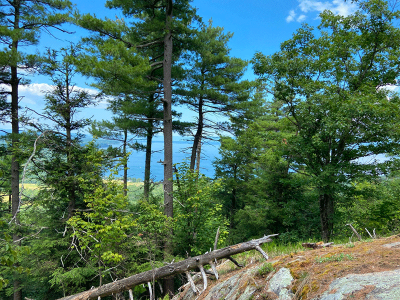 Hike Split Rock Mountain (North Trails) - Protect the Adirondacks!