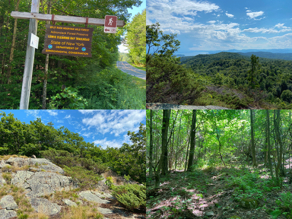 Hike Split Rock Mountain (North Trails) - Protect the Adirondacks!