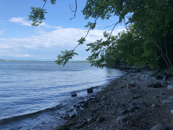 Hike Split Rock Mountain (South Trails) - Protect the Adirondacks!