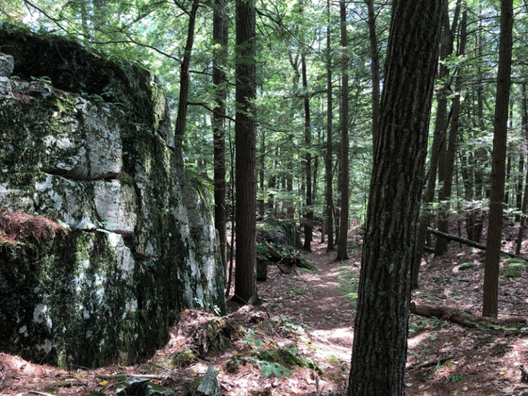 Hike Split Rock Mountain (South Trails) - Protect the Adirondacks!