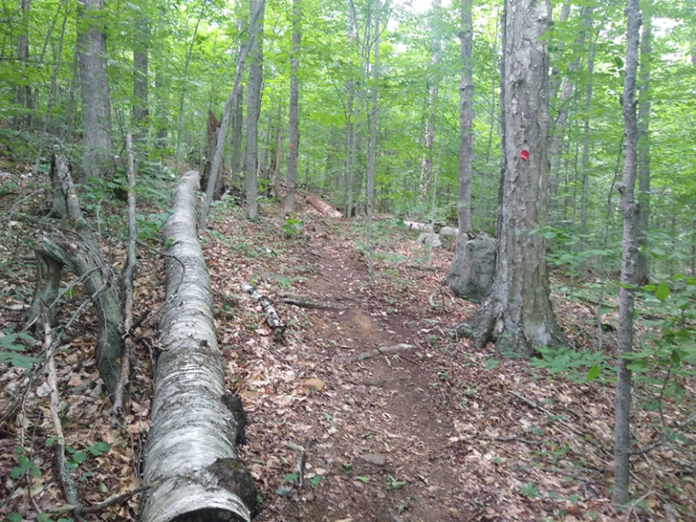 Hike Treadway Mountain - Protect the Adirondacks!
