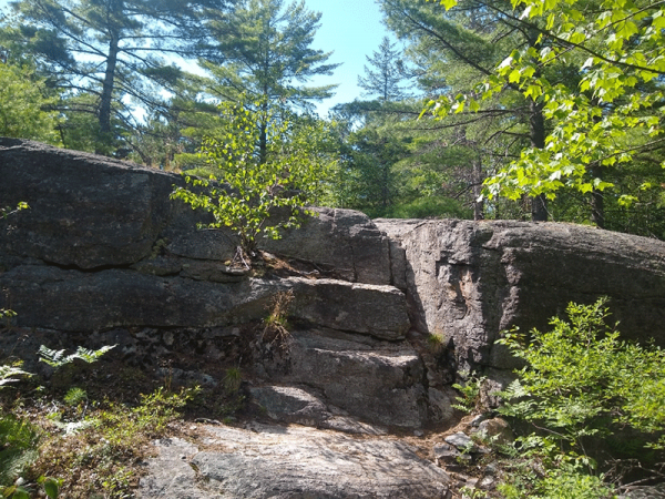 Hike Treadway Mountain - Protect the Adirondacks!