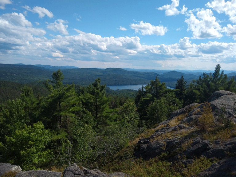 Hike Treadway Mountain - Protect the Adirondacks!