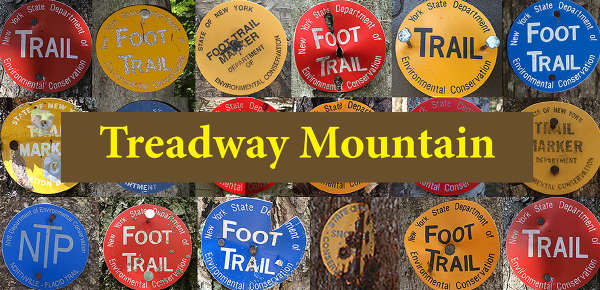 Hike Treadway Mountain - Protect the Adirondacks!