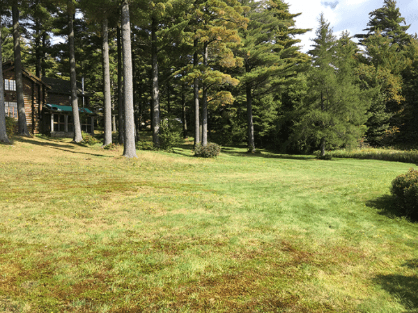 PROTECT supports removal of Debar Lodge - Protect the Adirondacks!