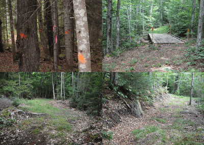 Time for NYS Department of Environmental Conservation, Adirondack Park ...