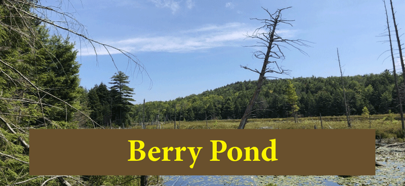Hike Berry Pond - Protect the Adirondacks!