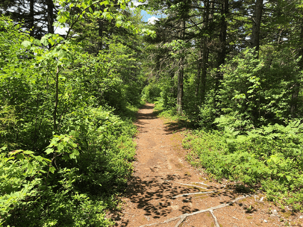 Fawn Lake - Protect the Adirondacks!