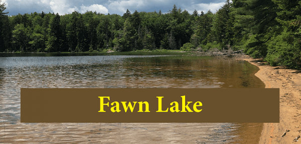 Fawn Lake - Protect the Adirondacks!