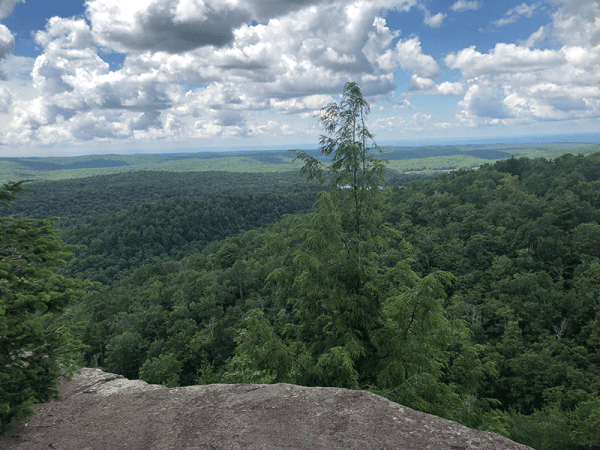 Good Luck Lake and Cliffs - Protect the Adirondacks!
