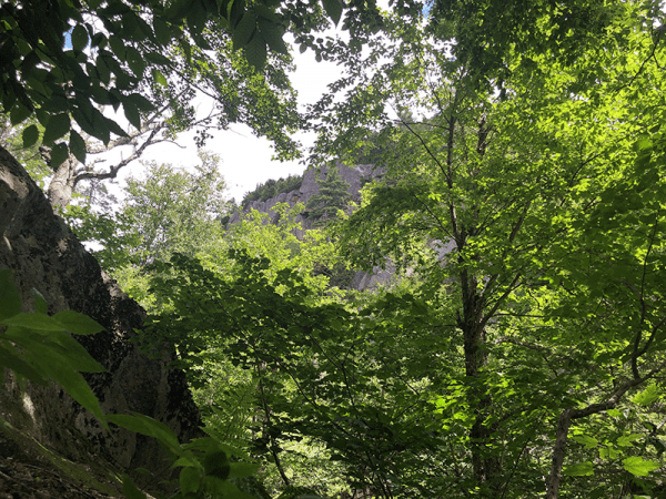 Good Luck Lake and Cliffs - Protect the Adirondacks!