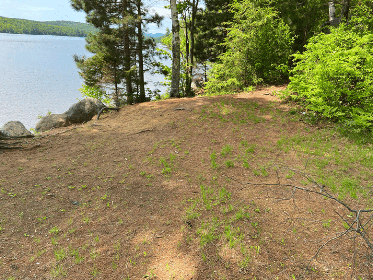 Hour Pond - Protect the Adirondacks!
