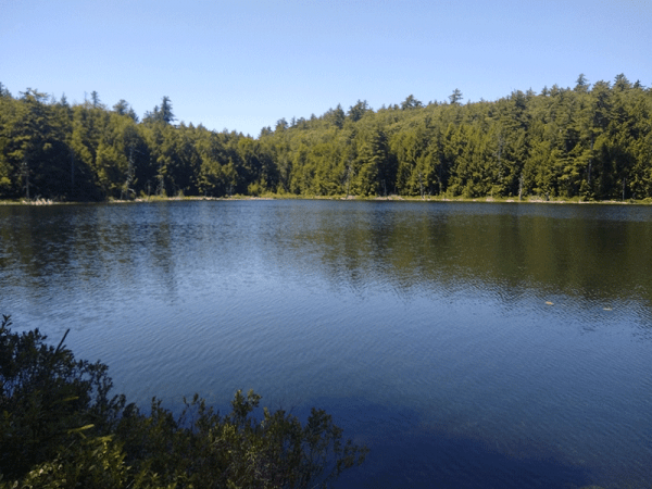 Jake Pond and Little Jabe Pond - Protect the Adirondacks!