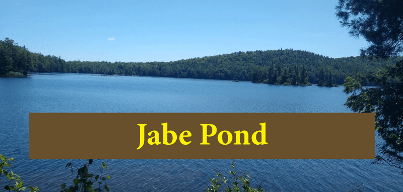 Jake Pond and Little Jabe Pond - Protect the Adirondacks!